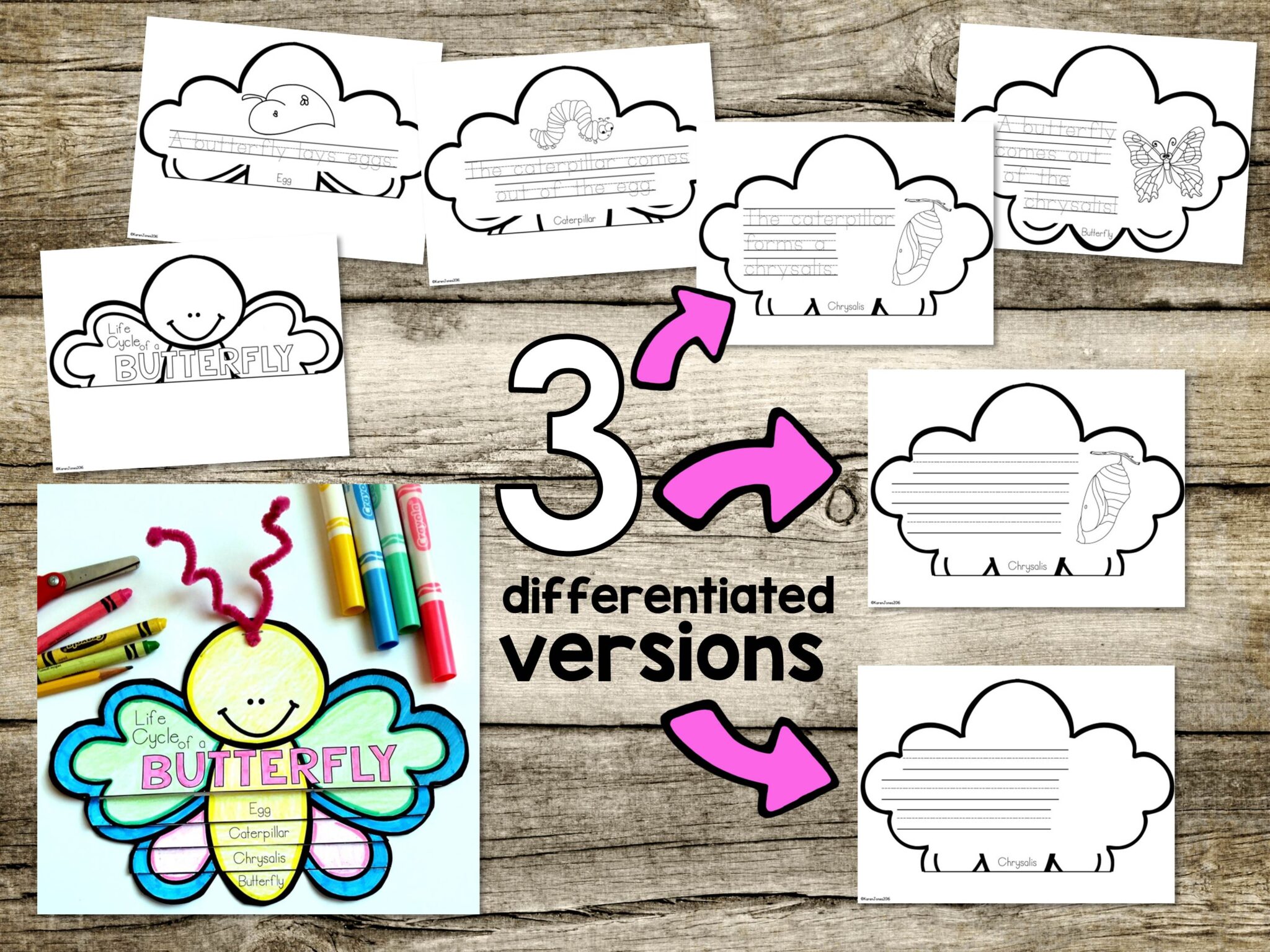 Butterfly Life Cycle Flip Book - Mrs Jones's Class