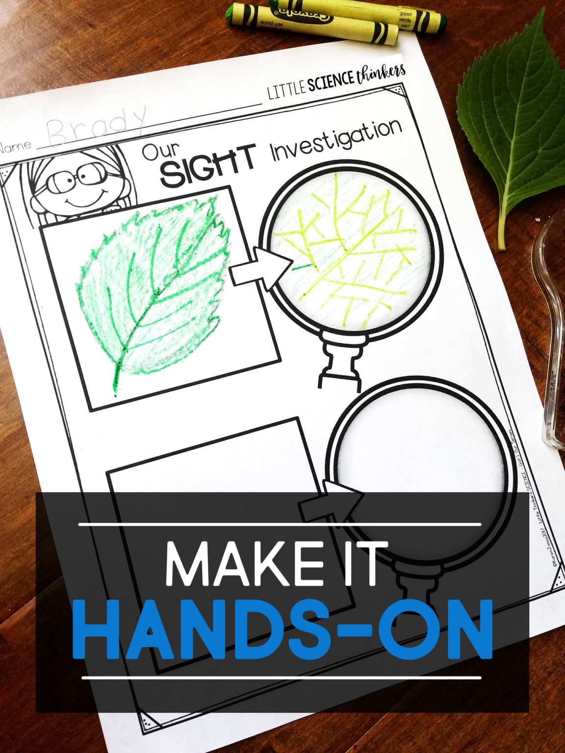 5 Tips for Teaching Kindergarten Science - Mrs Jones's Class